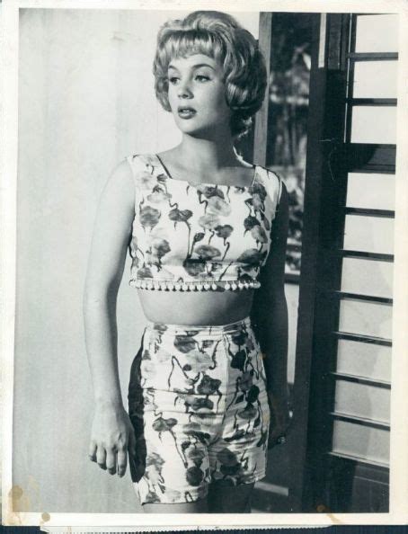 Staley Joan M Moires De Guerre