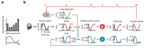 Excitation Inhibition Balance Underlies The Empirically Observed Inverse Download Scientific