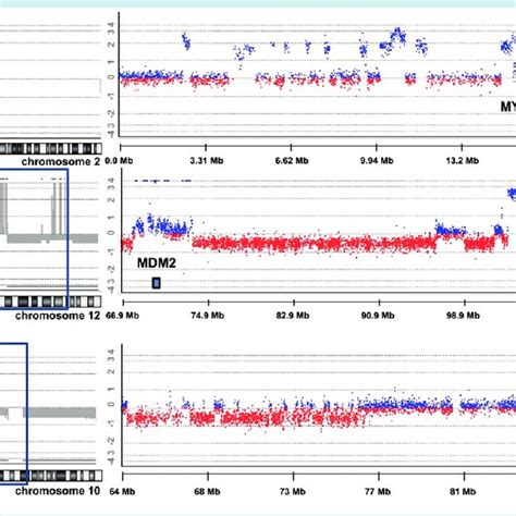 Chromothripsis In 2 Tumors Using Array Comparative Genome Hybridization Download Scientific