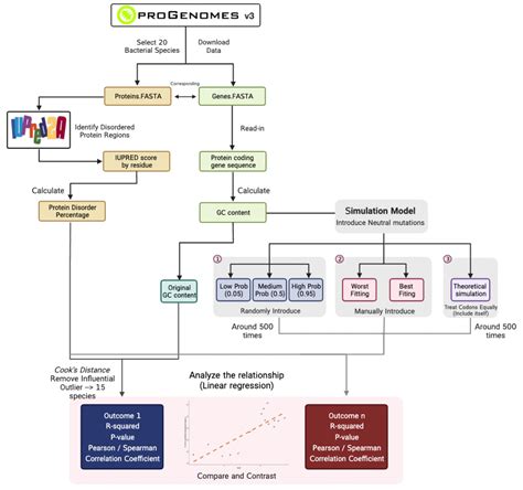 Github Huangyutong2021simulation Of Gc Content Evolution