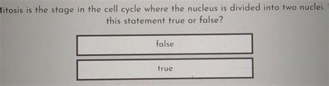 Solved Mitosis Is The Stage In The Cell Cycle Where The Nucleus Is