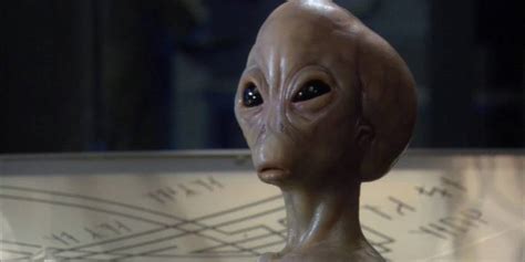 Stargate What Are The Five Races