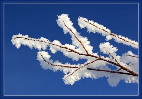 Картинный словарь по русскому языку 4 класс