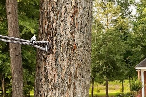 Home Bowman Tree Services