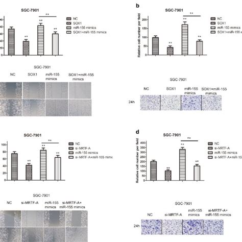 Comparison Of A Typical Enhancer And Super Enhancer Compared With Download Scientific Diagram
