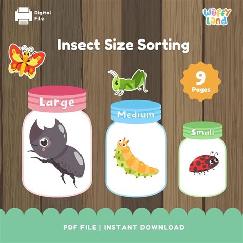 Insect Size Sorting Game Sort By Size Worksheet Size Sorting Game