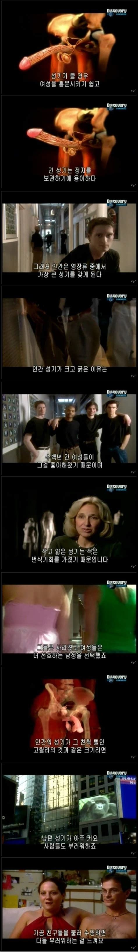 영장류중에서 가장 큰 성기 미스터리 공포 에펨코리아