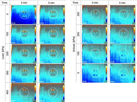 Thermal Image Measured By Infrared Thermography In The Passive Method Download Scientific Diagram