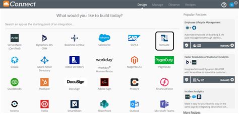 netsuite overview connect ipaas