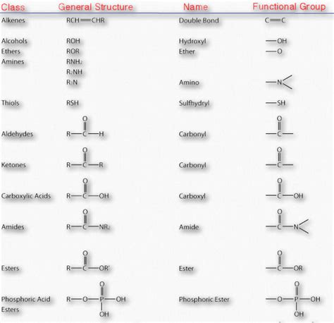 Base Functional Group