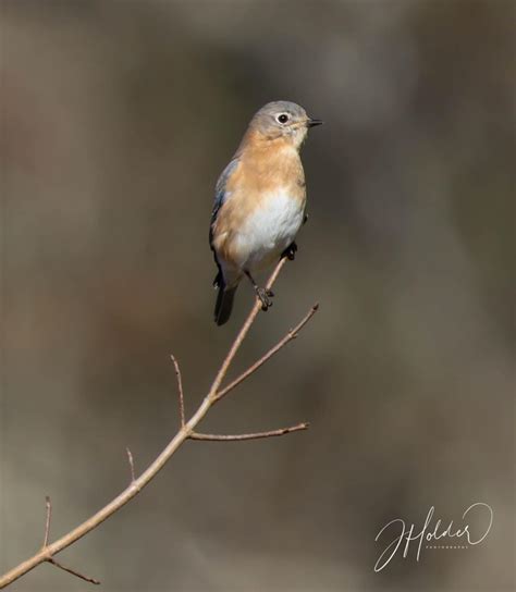 704153 B5 E0 A4 4 Ce8 9 D6 A 2 F0 Fa1 Fc4836 — Postimages