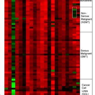 Heat Maps Showing The Expression Of Effector Genes In A Ovarian And B
