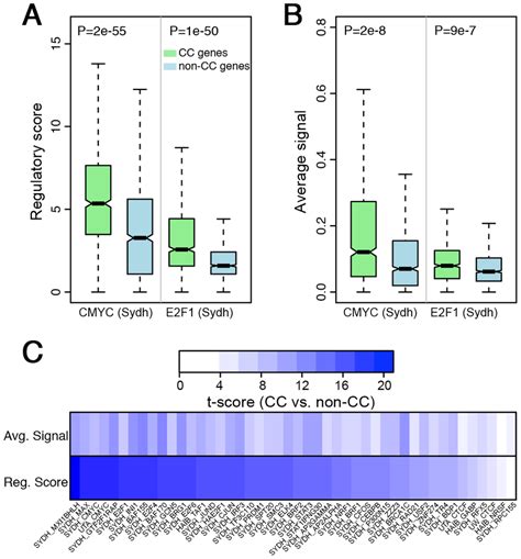 Regulator Scores Of TFs On Genes Can Discriminate Cell Cycle CC Download Scientific Diagram