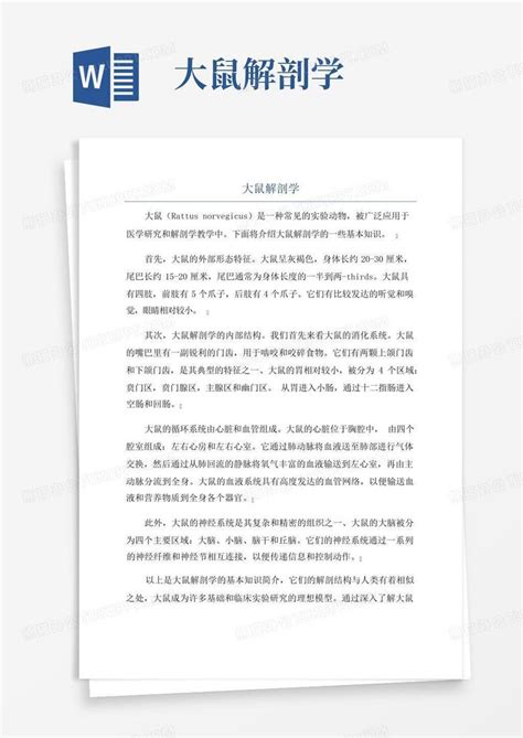 大鼠解剖学word模板下载 编号lnwybaxw 熊猫办公