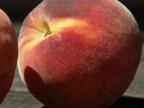 Peaches Eat The Seasons