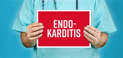 Endokarditis Symptome Diagnose Therapie Österreichischer Herzverband