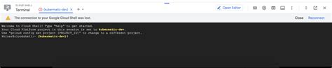 Xterm Addon Fit Shrinking The Screen Doesn T Work Issue Xtermjs Xterm Js GitHub