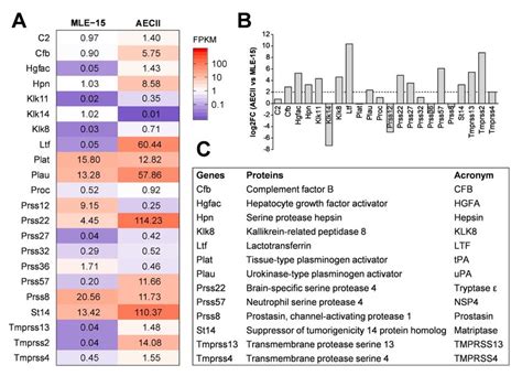 comparative expression profiling of trypsin like serine protease mrnas