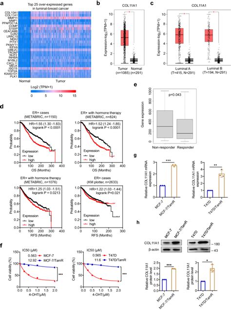 Col11a1 过度表达导致乳腺癌对他莫昔芬产生耐药性 Npj Breast Cancer X Mol
