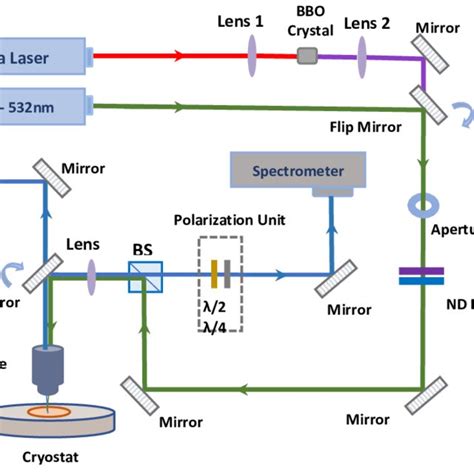 Figure S1 Schematic Of Pl And Polarization Resolved Measurement Setup