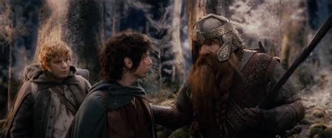 The Fellowship In Lothlorien