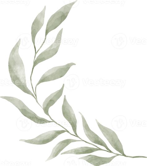 Greenery Leaf Watercolor Download Free Vectors Clipart Graphics