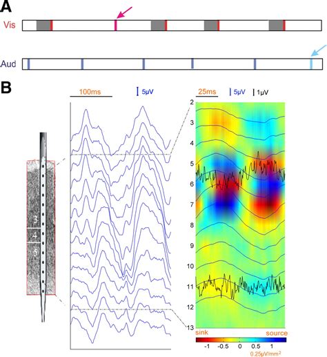 Attentional Modulation Of Alpha Oscillations In Macaque Inferotemporal