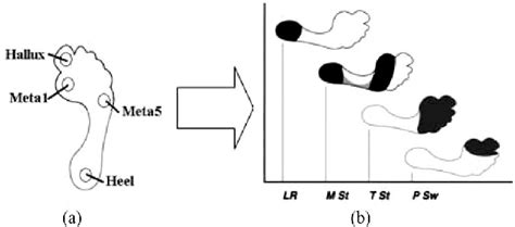 Figure 1 From Computational Intelligent Gait Phase Detection System To Identify Pathological