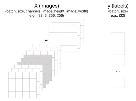 pytorch image classification tutorial for beginners towards data science