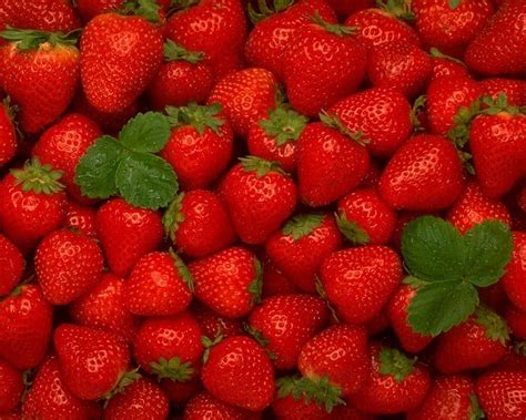 Cute Strawberry Hd Wallpapers 100