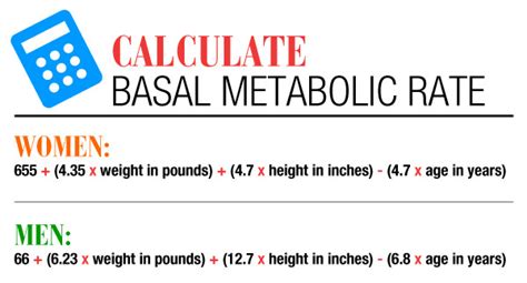 Basal Metabolic Rate And Weight Loss Clinicgala