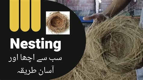 best nesting method lovebirds finches java nesting material