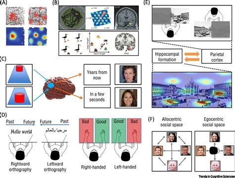 Knowledge Across Reference Frames Cognitive Maps And Image Spaces Trends In Cognitive Sciences