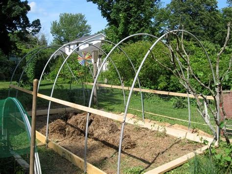 Как сделать парник своими руками легко и бюджетно: 65 супер идей | Живу ...