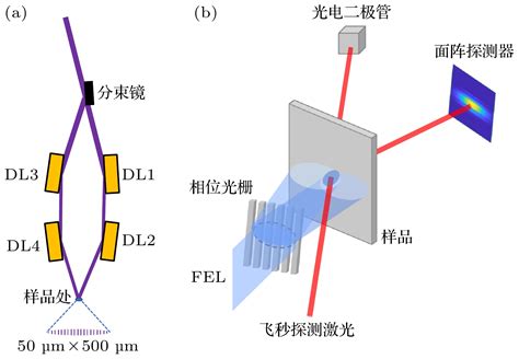 基于自由电子激光的散射技术及谱学方法进展