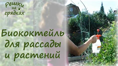 БиоКоктейль в помощь рассаде и растениям - YouTube