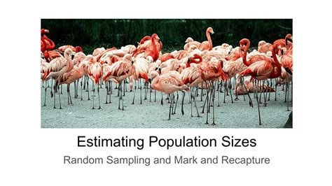 Estimating Population Size Remote Learning Unit