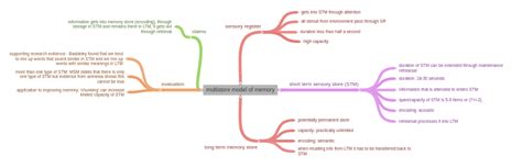 Multistore Model Of Memory Coggle Diagram