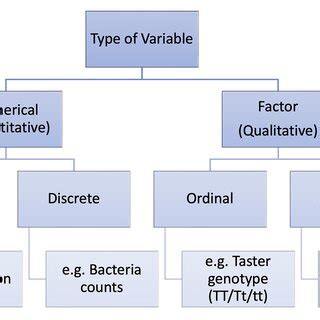 Classification Of Types Of Variables Download Scientific Diagram