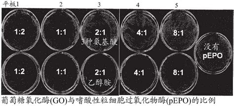 Bioactive Heme Haloperoxidase Compositions And Methods Of Their Use