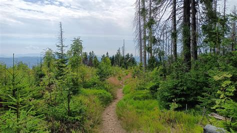 August Hiking Summary Tomas The Wandering Dreamer