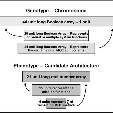 genotype to phenotype mapping download scientific diagram