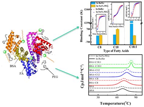 长链和中链脂肪酸与血清白蛋白结合的差异：大分子拥挤效应的作用 Journal Of Agricultural And Food Chemistry X Mol