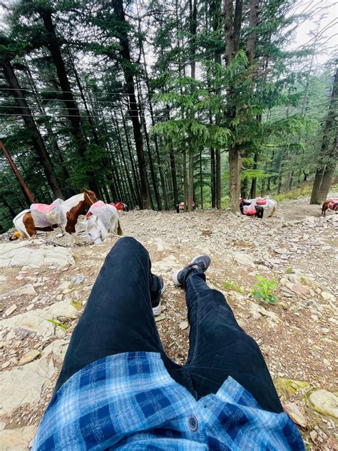 shreyash singh on linkedin finding peace 🤍
