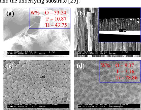 Figure From Free Standing TiO Nanotube Membranes From Electrochemical Anodization Semantic