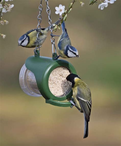 Flutter Butter Readyfilled Feeder From Living With Birds