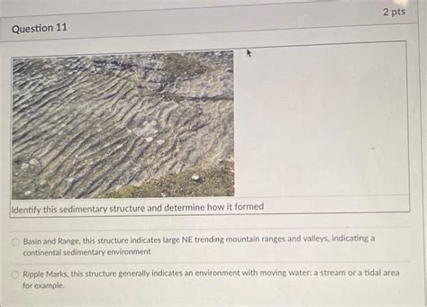 Solved Question 9 Identify This Sedimentary Structure And