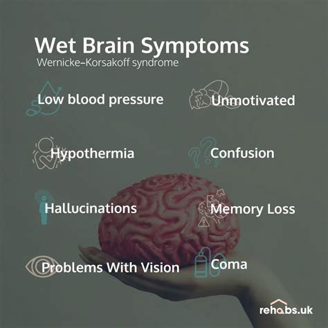 What Is Wet Brain Causes Symptoms And Treatment