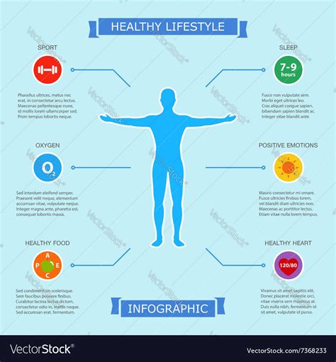 Healthy Lifestyle Infographic Royalty Free Vector Image