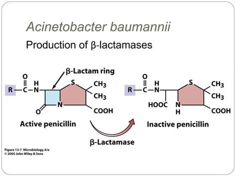 Antibiotic Susceptibility Of Multidrug Resistant Nosocomial Bacteria
